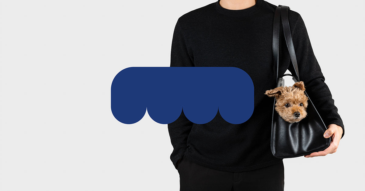 Timeless, Stylish & Sustainable Pet Accessories | NOTCOMMON STUDIO